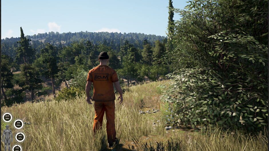 Game: SCUM